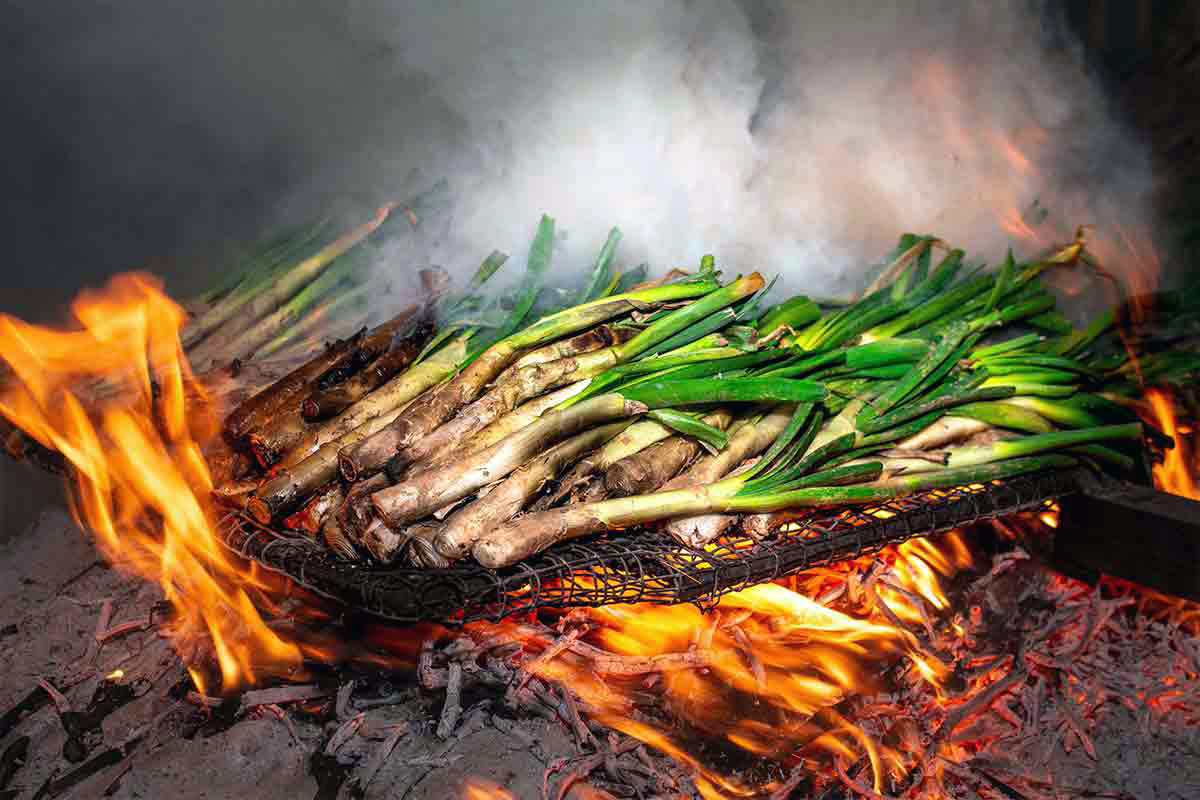 Faszination "Calçots" - Spanien: Nachrichten - News - Schlagzeilen ...